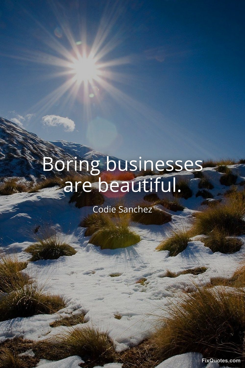 Boring Businesses Are Beautiful: Codie Sanchez on Cash Flow