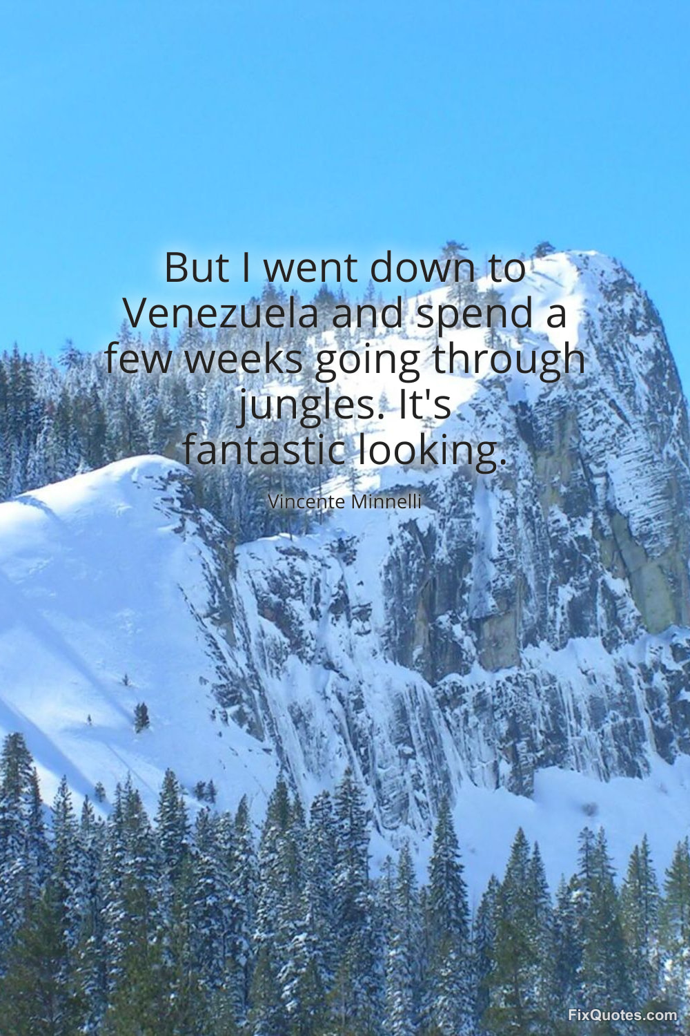 But I went down to Venezuela and spend a... - Vincente Minnelli