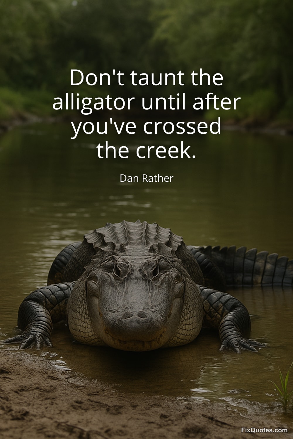 Do not Taunt the Alligator Until After Crossing the Creek