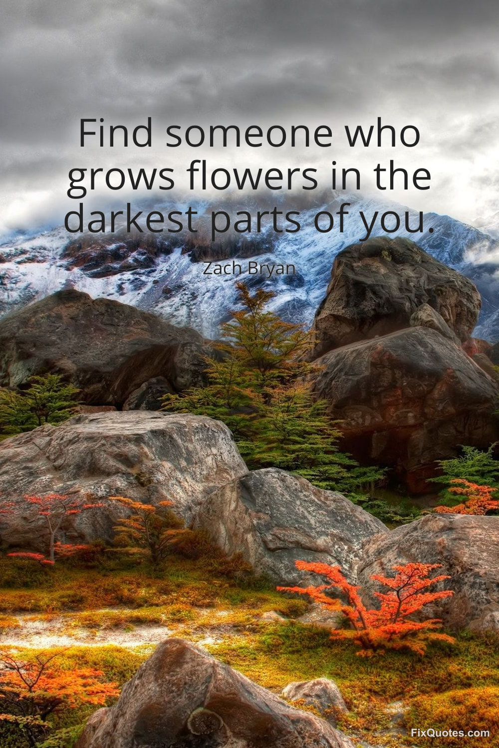 Find someone who grows flowers in the darkest... - Zach Bryan