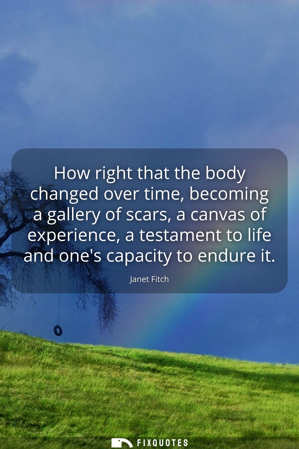 Janet Fitch on scars as a testament to life