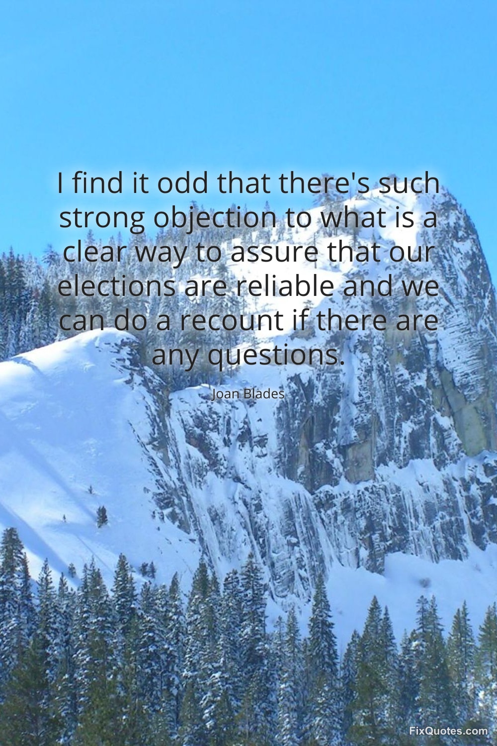 Joan Blades on election reliability and recounts