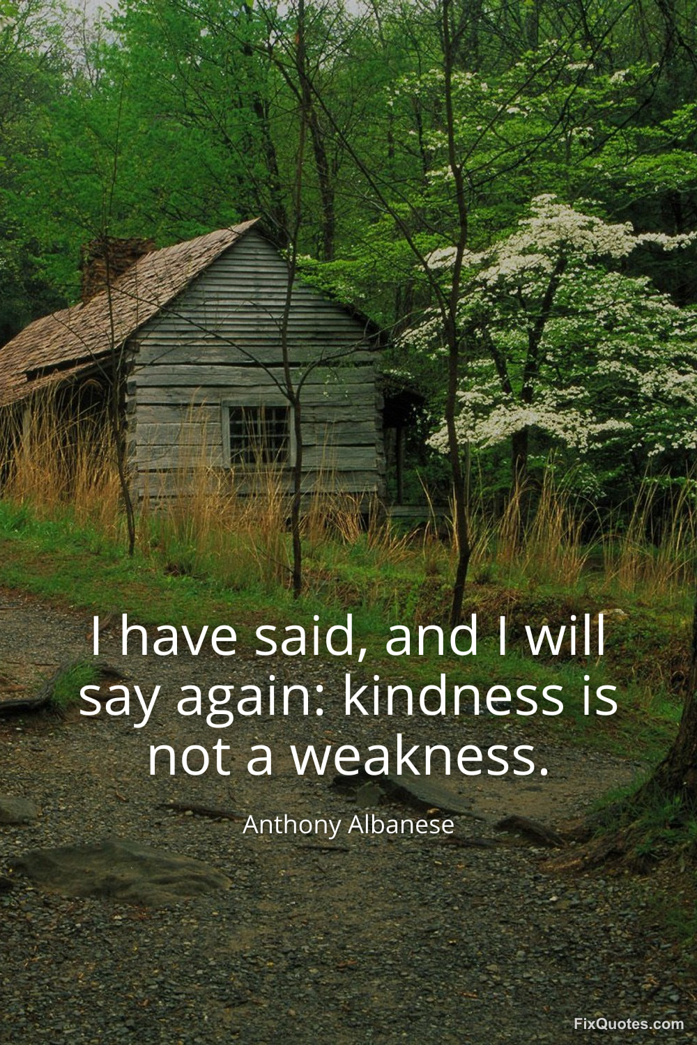 I have said, and I will say again:... - Anthony Albanese