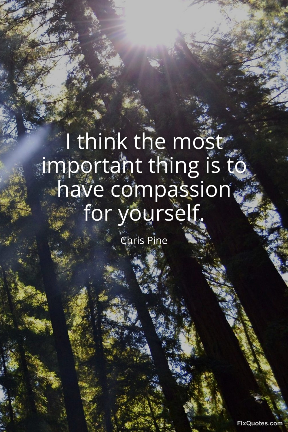 I think the most important thing is to have... - Chris Pine