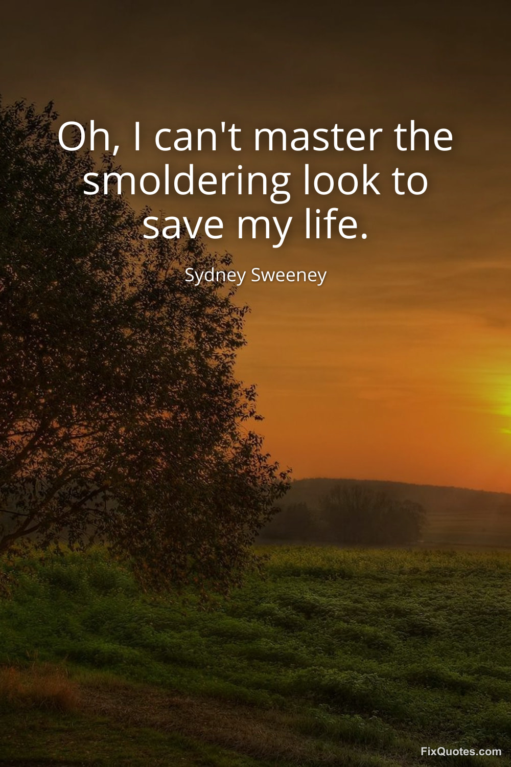 Sydney Sweeney on the smoldering look