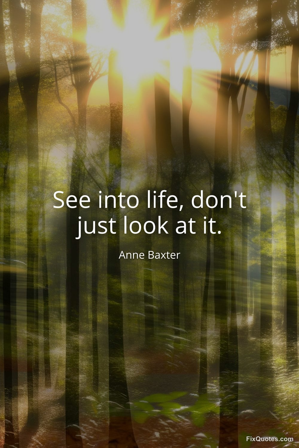 See into Life, Don't Just Look at It - Anne Baxter