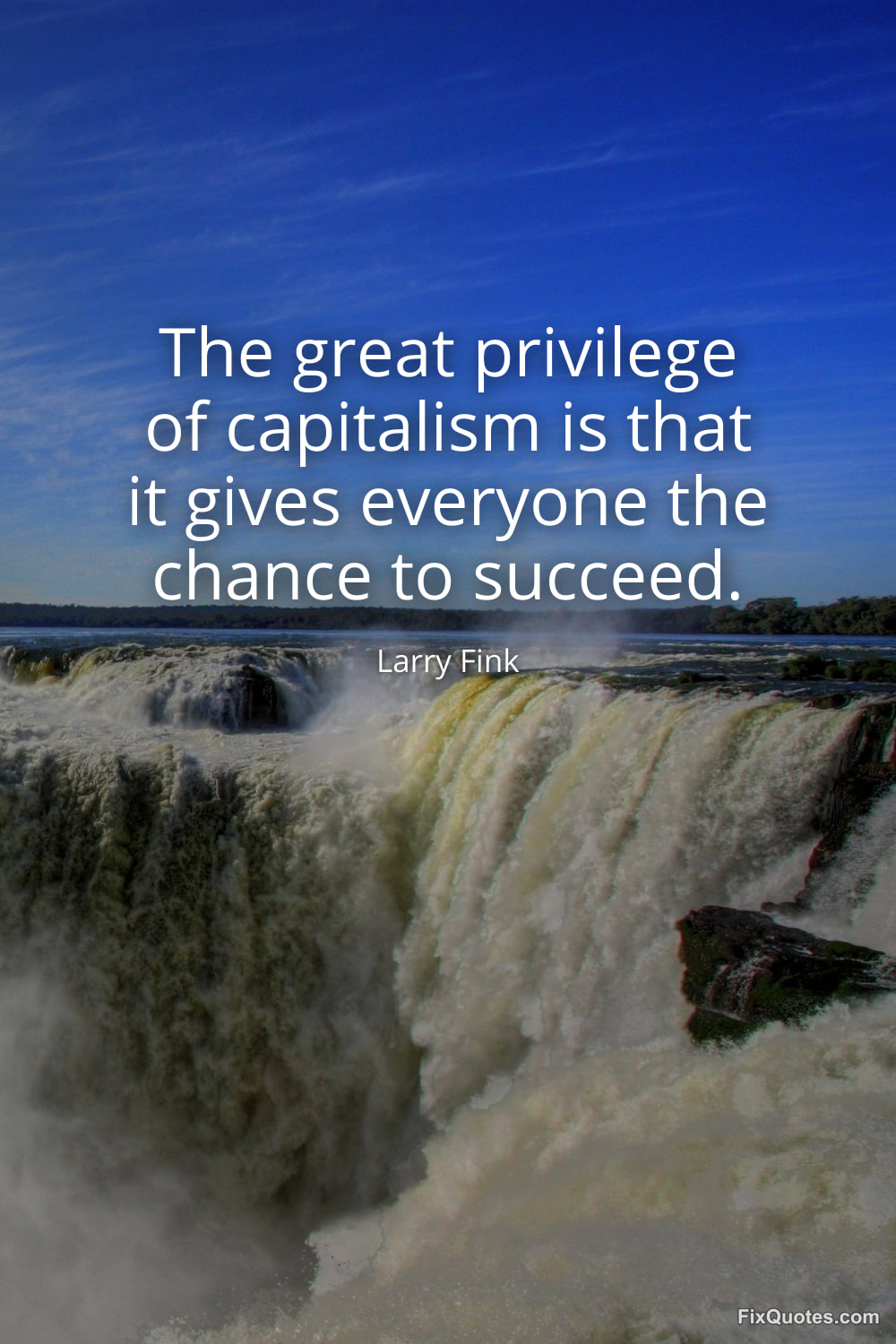 The great privilege of capitalism is that it... - Larry Fink