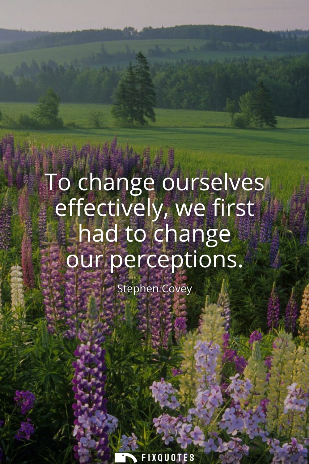 Change Your Perceptions to Change Yourself - Stephen Covey
