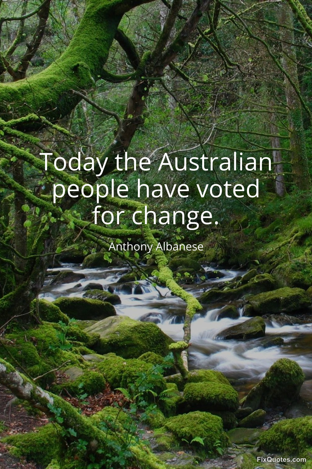 Today the Australian people have voted... - Anthony Albanese