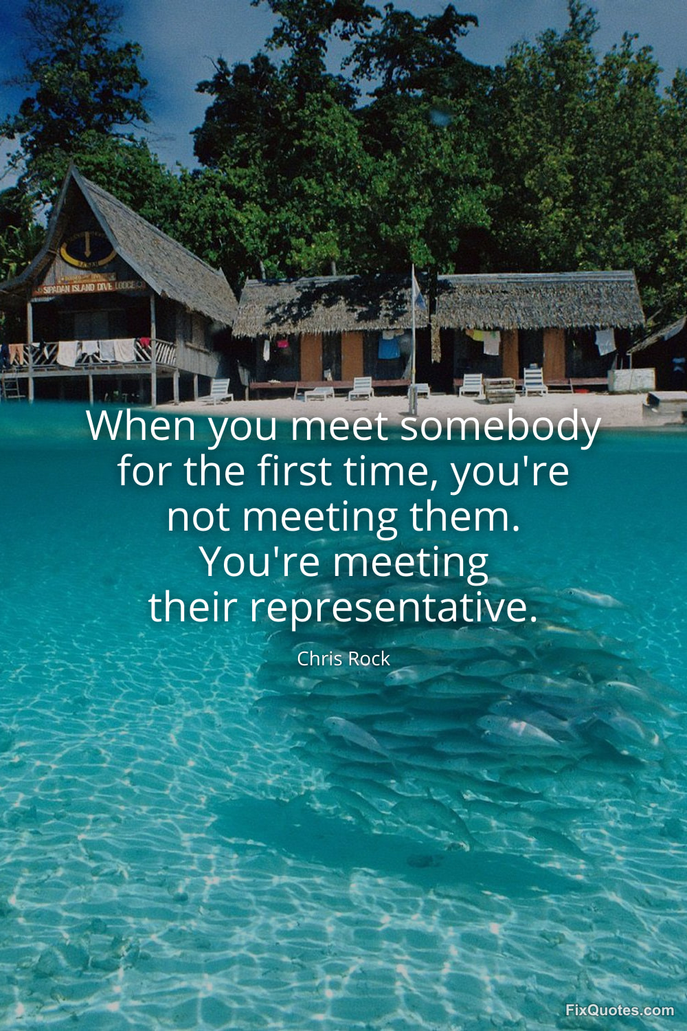 When You Meet Somebody, You Are Meeting Their Representative - Chris Rock